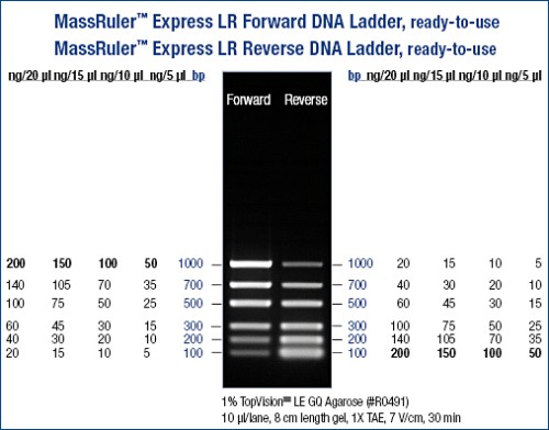 MassRuler™ Express DNA Ladder, Low Range Forward | ABO
